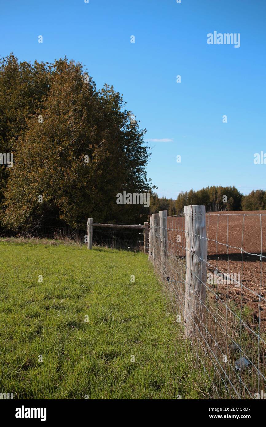 Fenced Farm Fields Stock Photo - Alamy