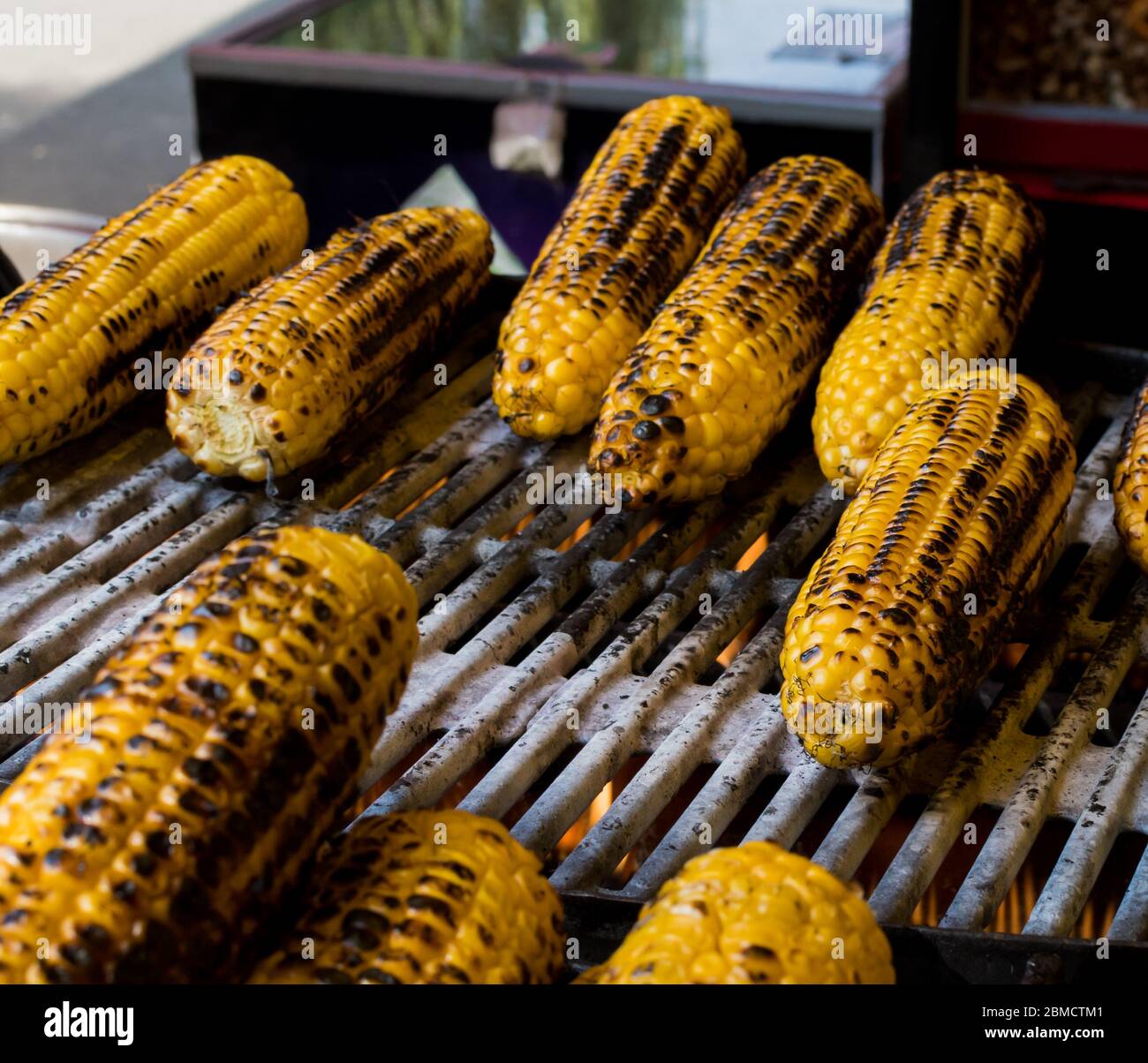 Grilled Corncob sweet corn en brochette in a close up shot. Corn on the ...