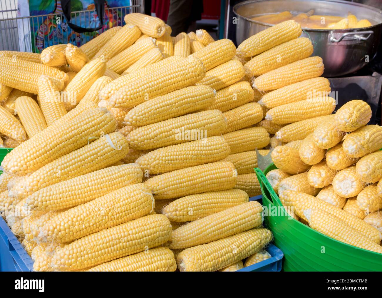 Raw stack of corncob sweet corn in sunshine. Corn on the cob outside ...