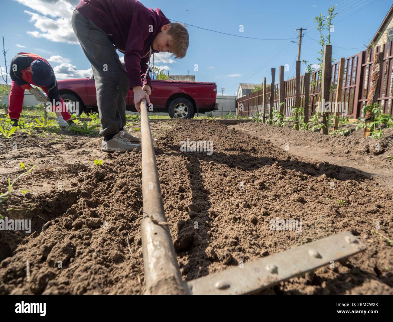 Caucasian boy rakes the ground in a bed with a rake Stock Photo - Alamy