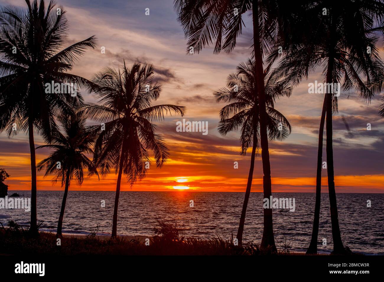 Dramatic sunset palm trees hi-res stock photography and images - Alamy