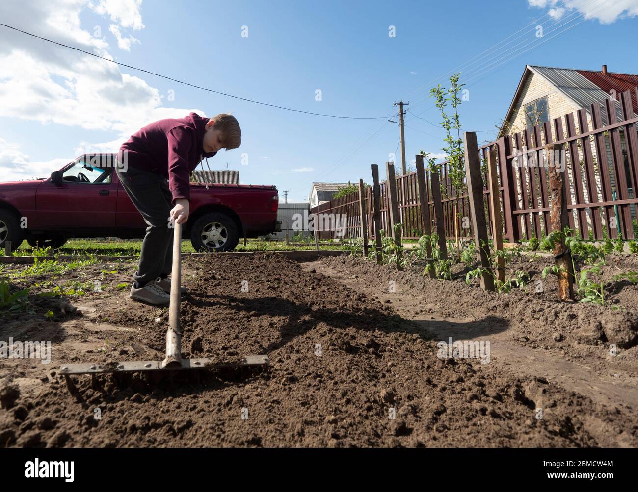 Caucasian boy rakes the ground in a bed with a rake Stock Photo - Alamy