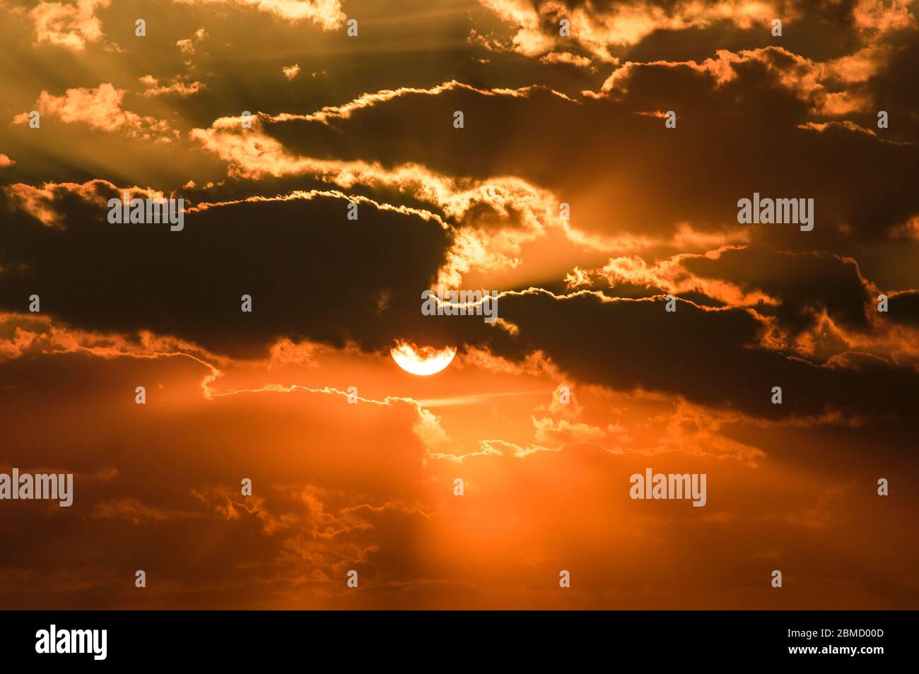 Golden hour of sunset at red sea shore with dramatic sky and the golden ...