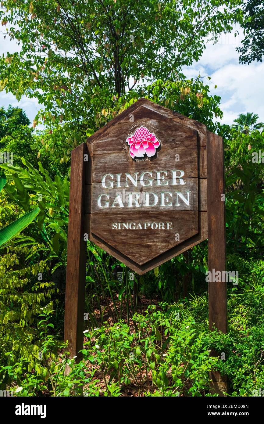 Singapore botanic gardens ginger garden hi-res stock photography and ...