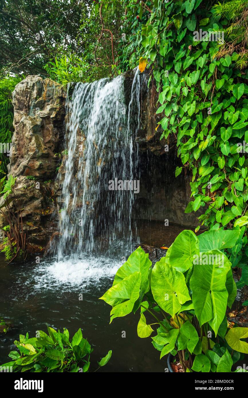 Waterfall botanic gardens singapore hi-res stock photography and images ...