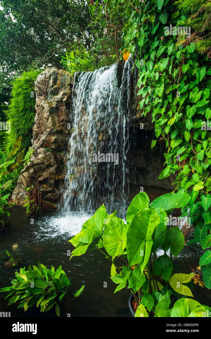 Waterfall botanic gardens singapore hi-res stock photography and images ...