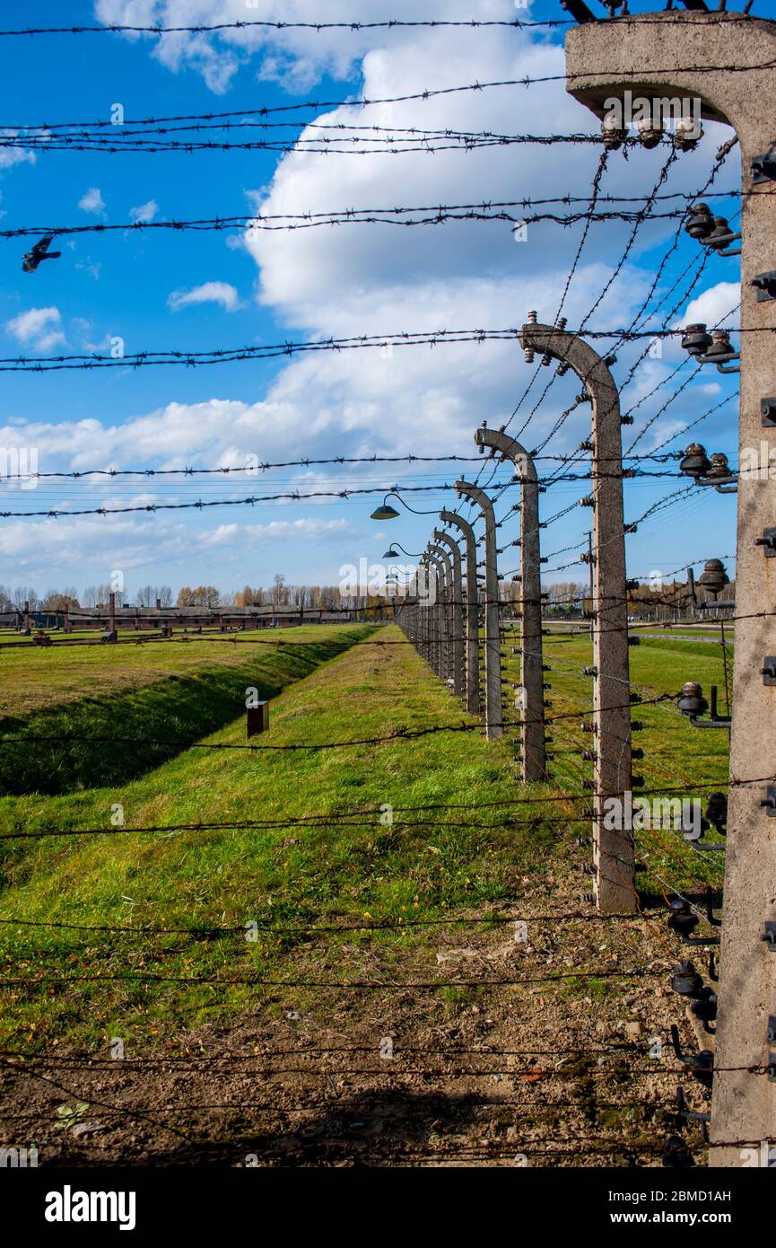 Barbwire fences at the Birkenau concentration camp which was operated ...