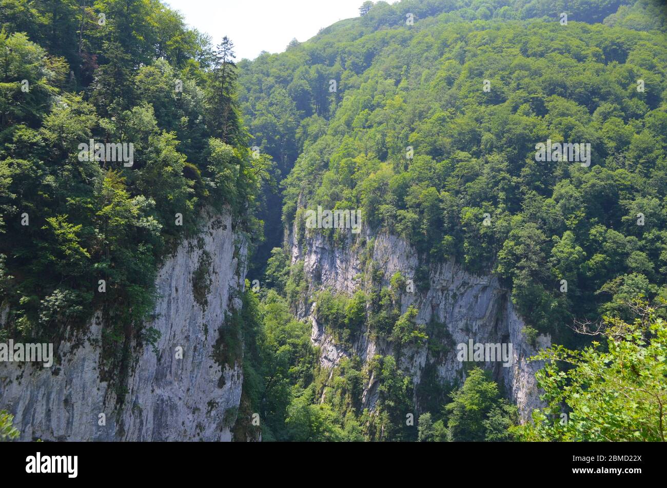 Holtzarte Gorges in the French Pyrenees Stock Photo - Alamy