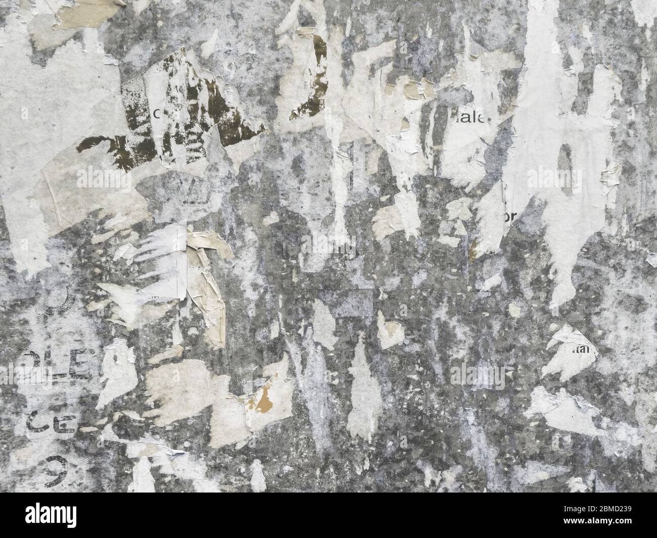 Grunge ripped poster background. Texture of torn advertisement on an ...