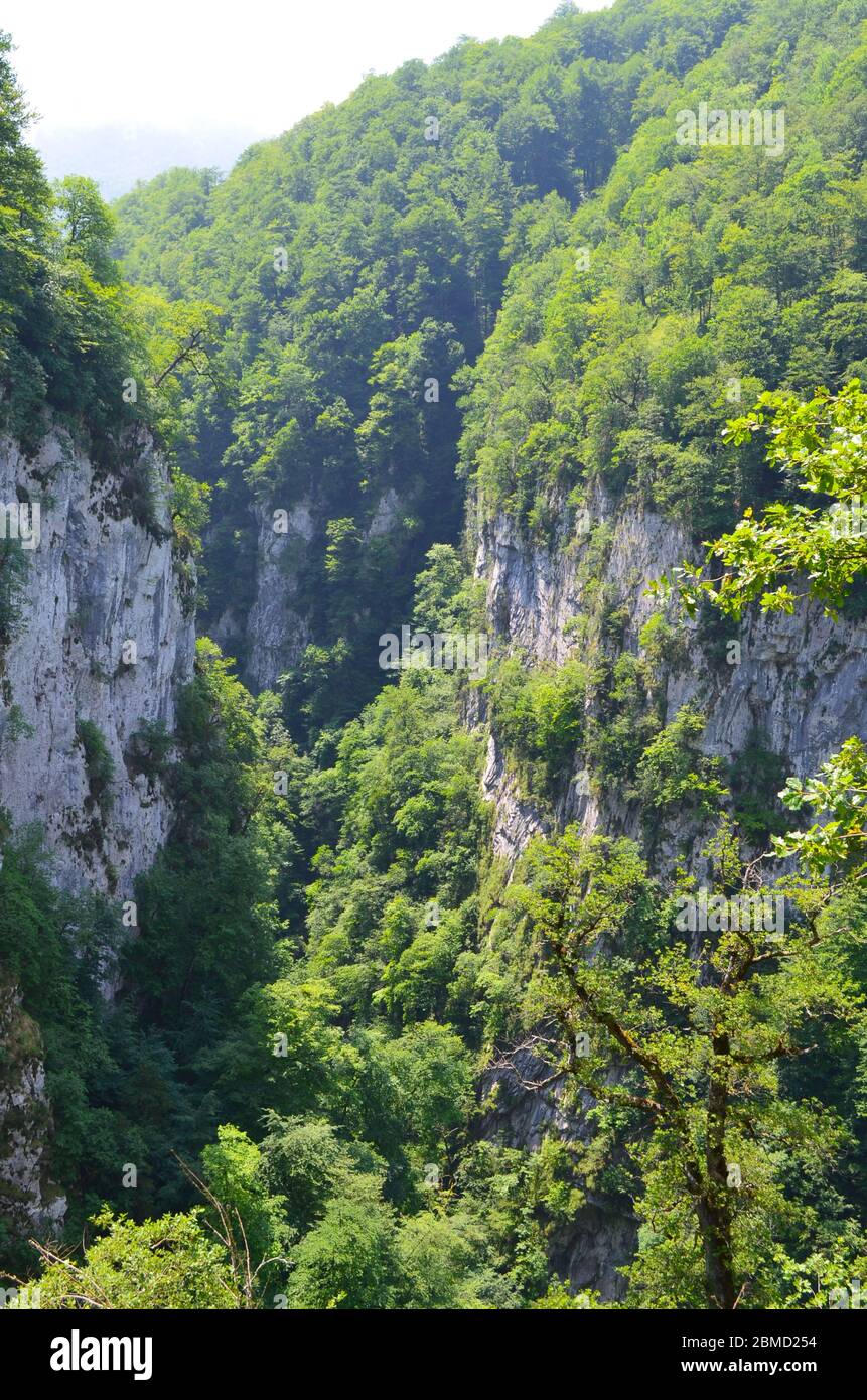 Holtzarte Gorges in the French Pyrenees Stock Photo - Alamy