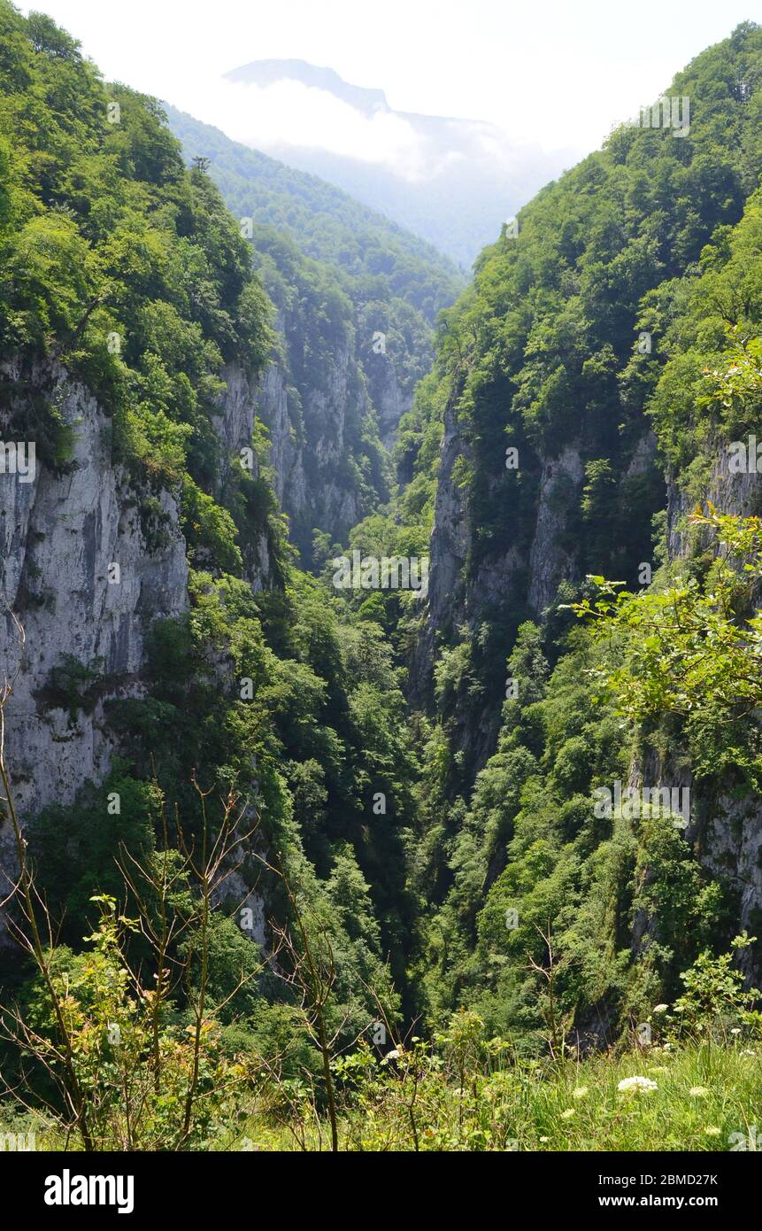 Holtzarte Gorges in the French Pyrenees Stock Photo - Alamy