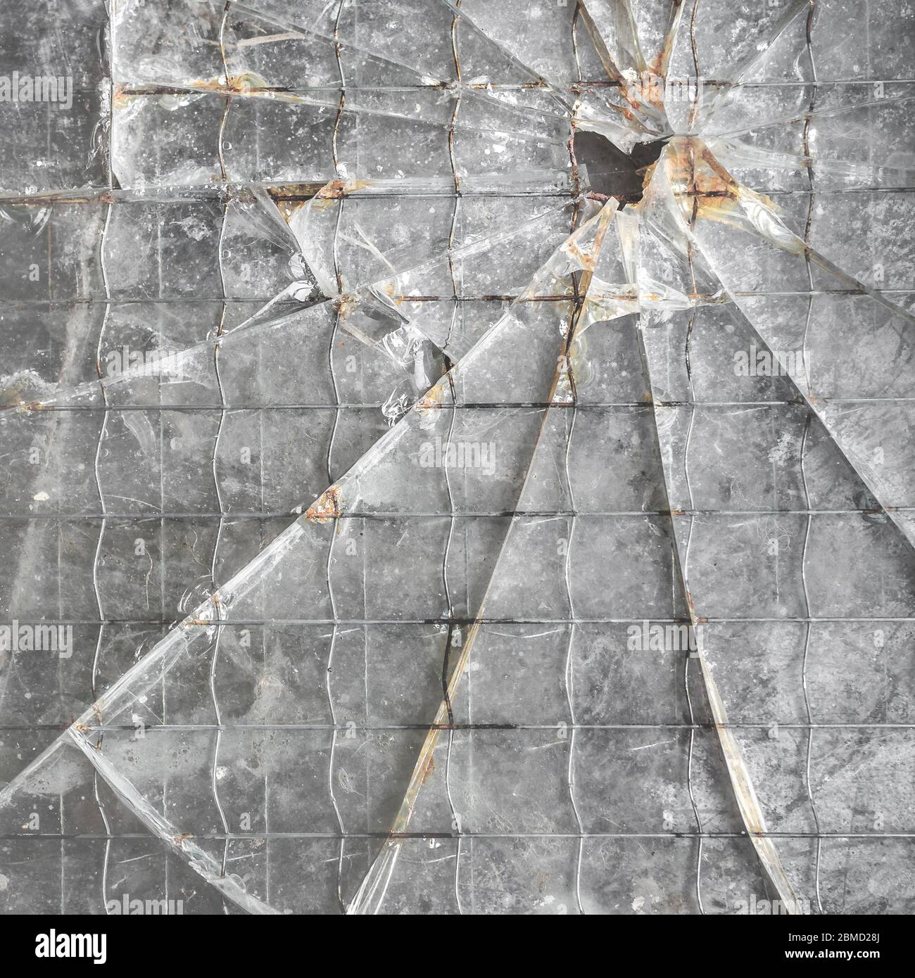 Shattered reinforced glass background. Closeup of broken glass texture ...