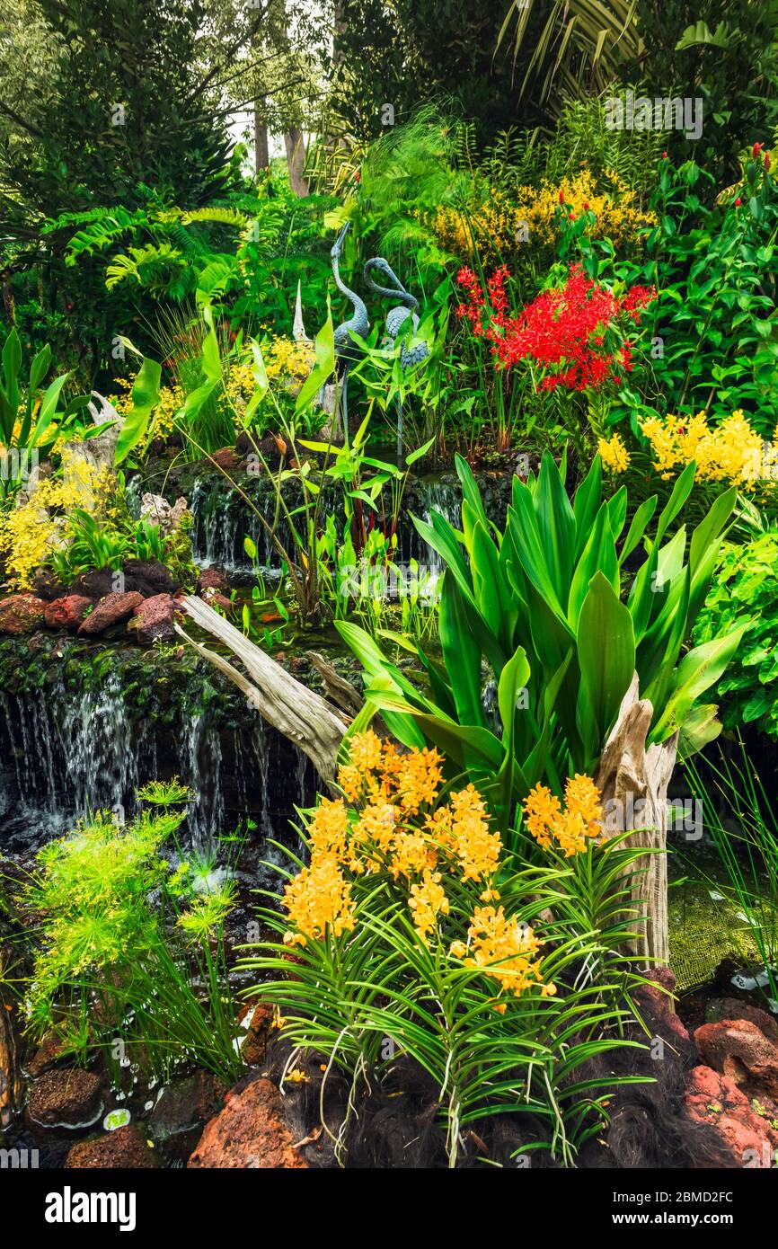 Singapore Botanic Gardens Orchids