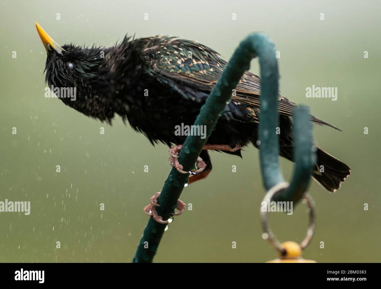 Body twisting hi-res stock photography and images - Alamy