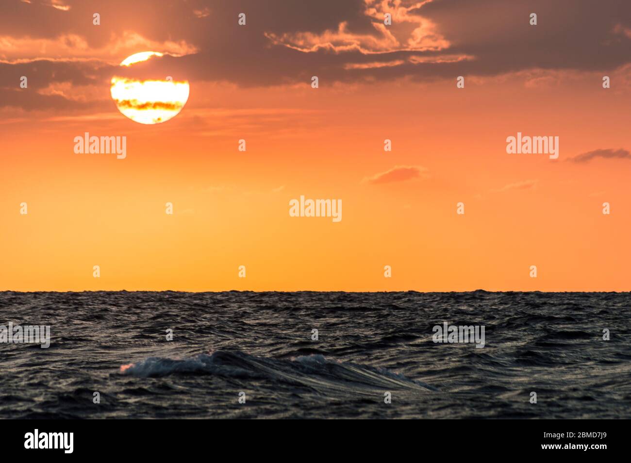 Golden hour of sunset at red sea shore with dramatic sky and the golden ...