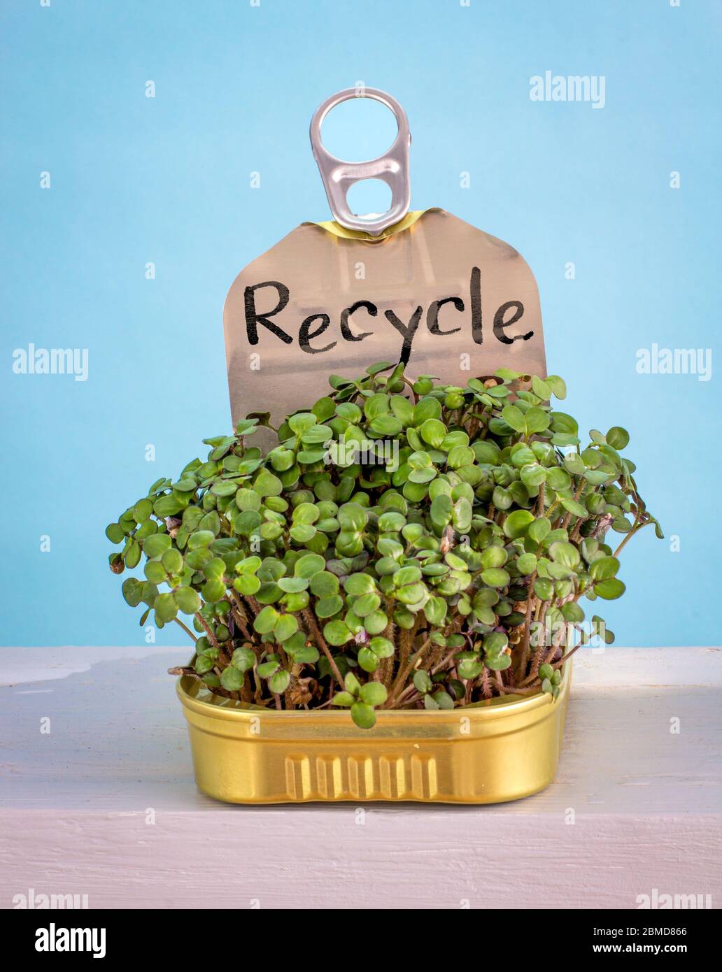 Sardine tin hi-res stock photography and images - Alamy