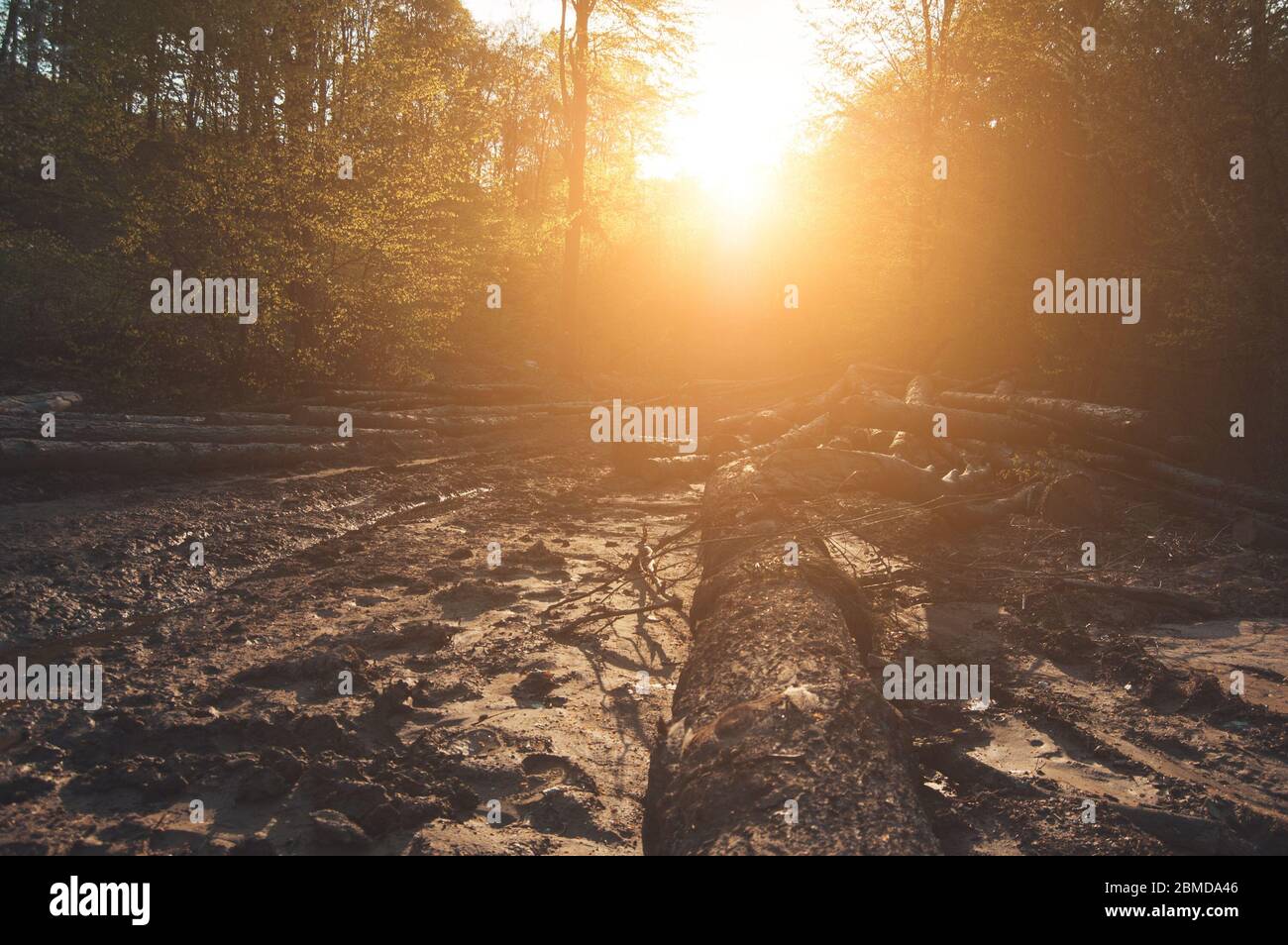 Mud and timber hi-res stock photography and images - Alamy