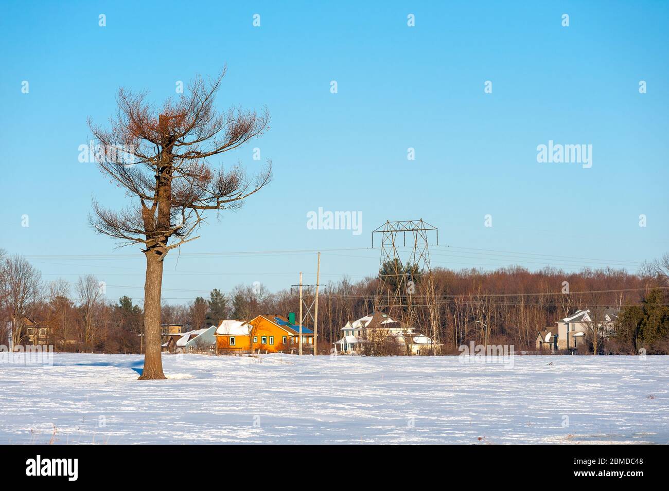 One snow covered tree hi-res stock photography and images - Alamy