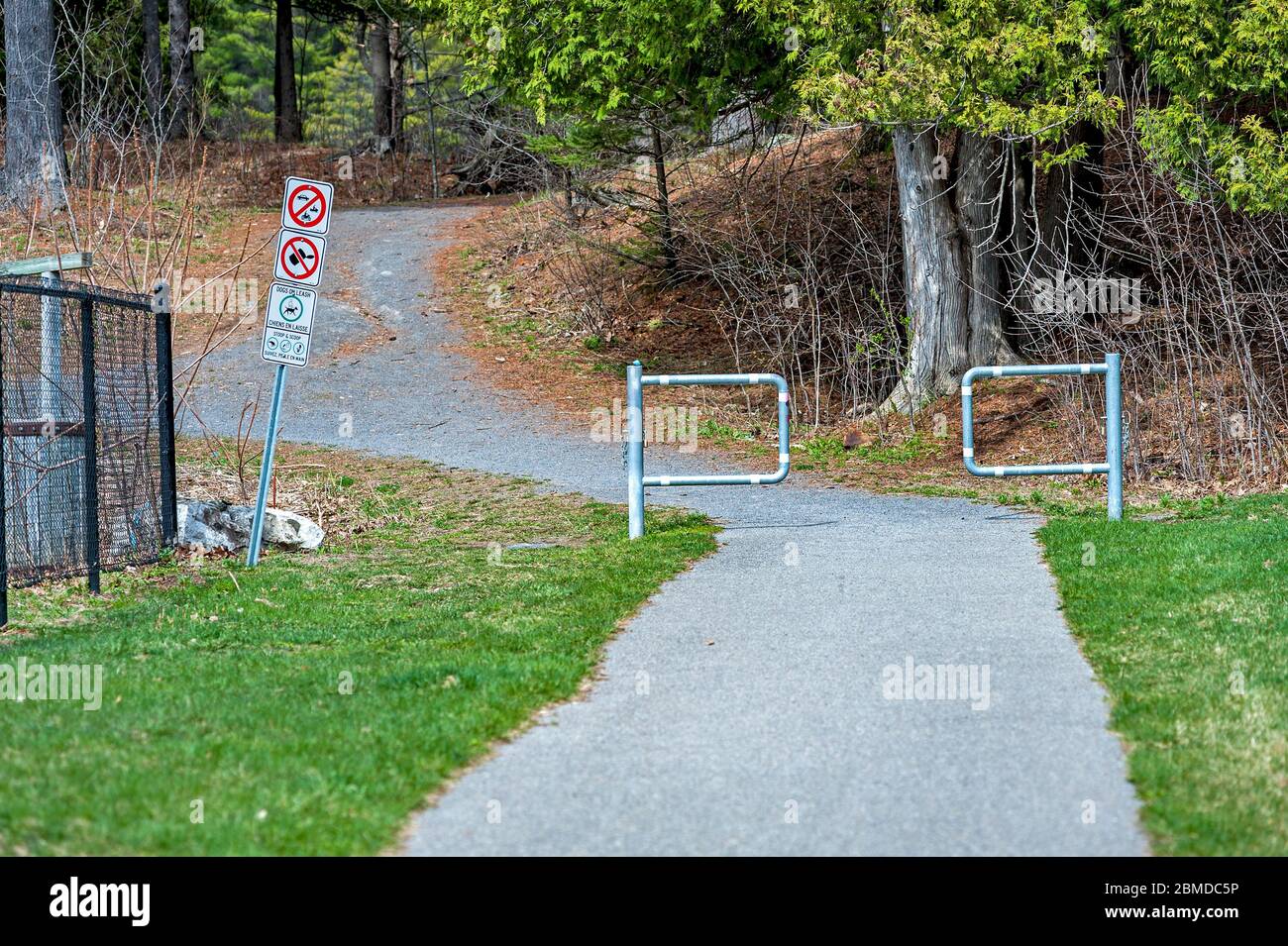 Footpath into natural woodland Stock Photo - Alamy