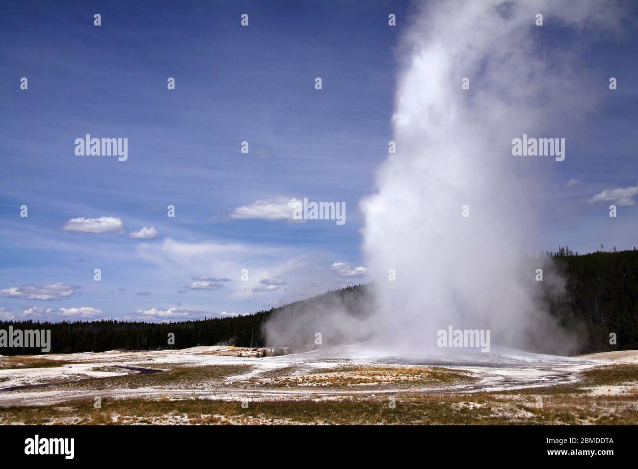 Old faithful geyser in yellowstone hi-res stock photography and images ...