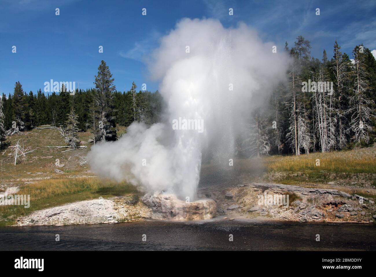 View of Grand Geyser erupting in Yellowstone Stock Photo - Alamy