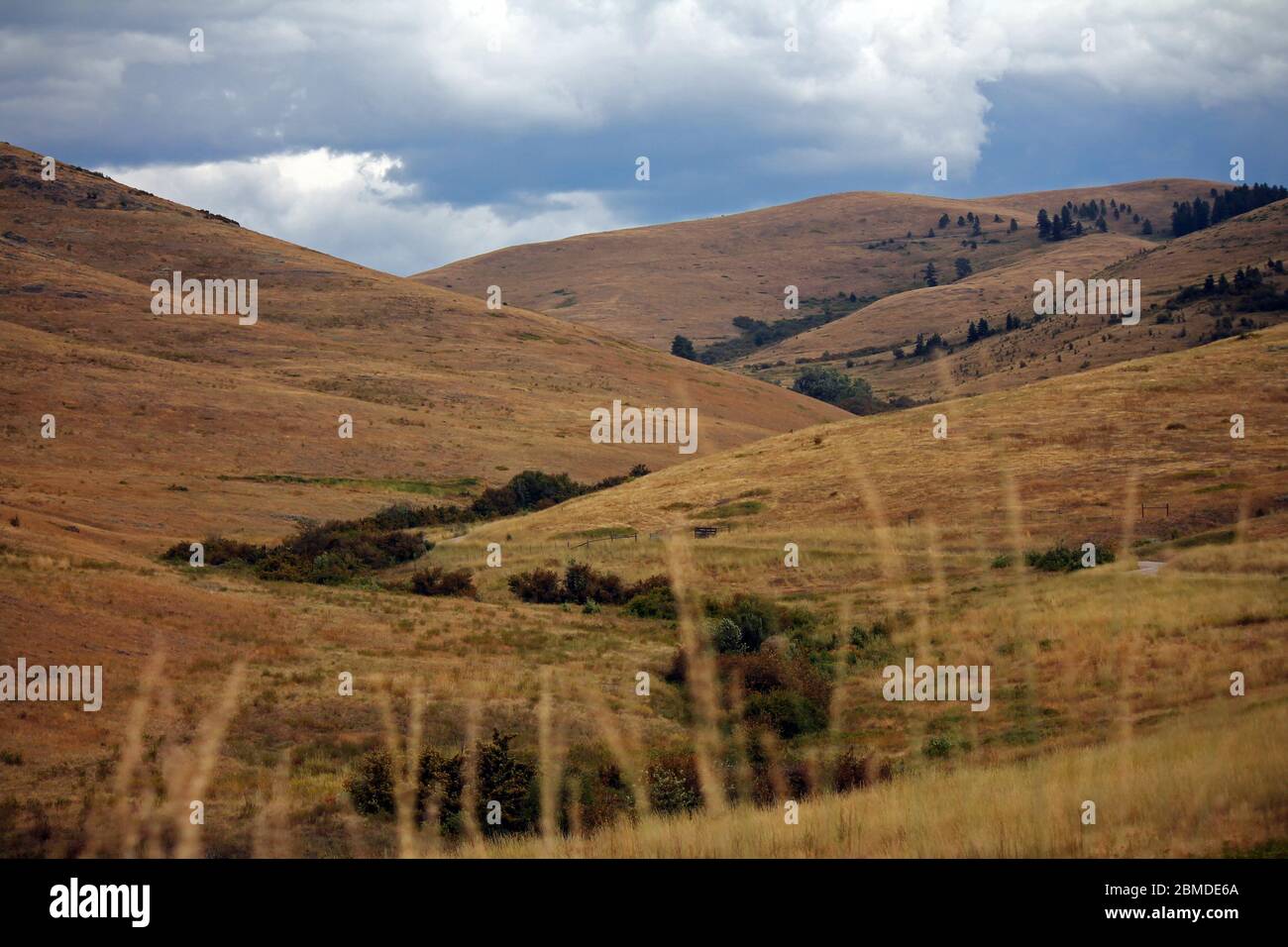 Scenic view open lands hi-res stock photography and images - Alamy