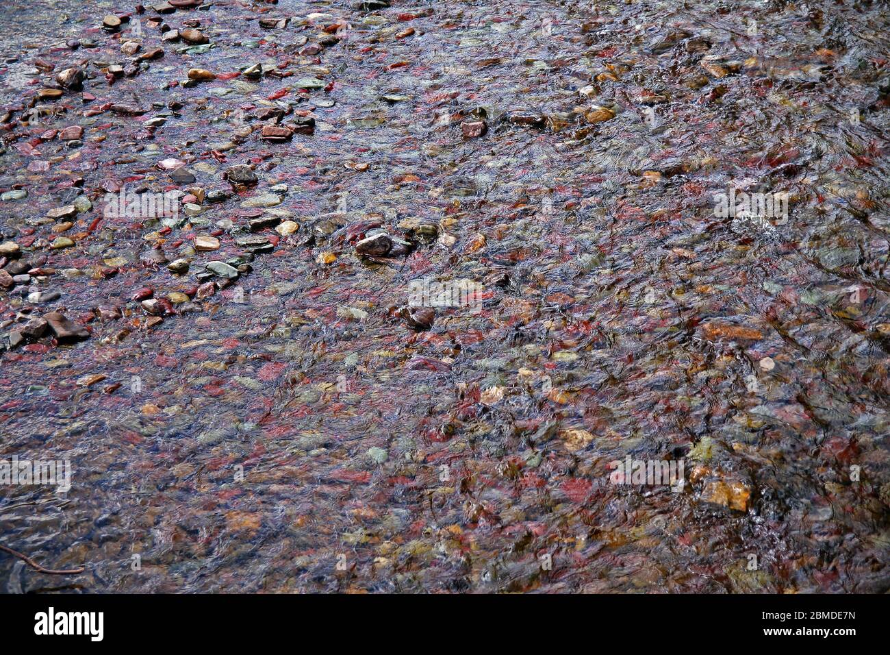 Water rounded pebbles hi-res stock photography and images - Alamy