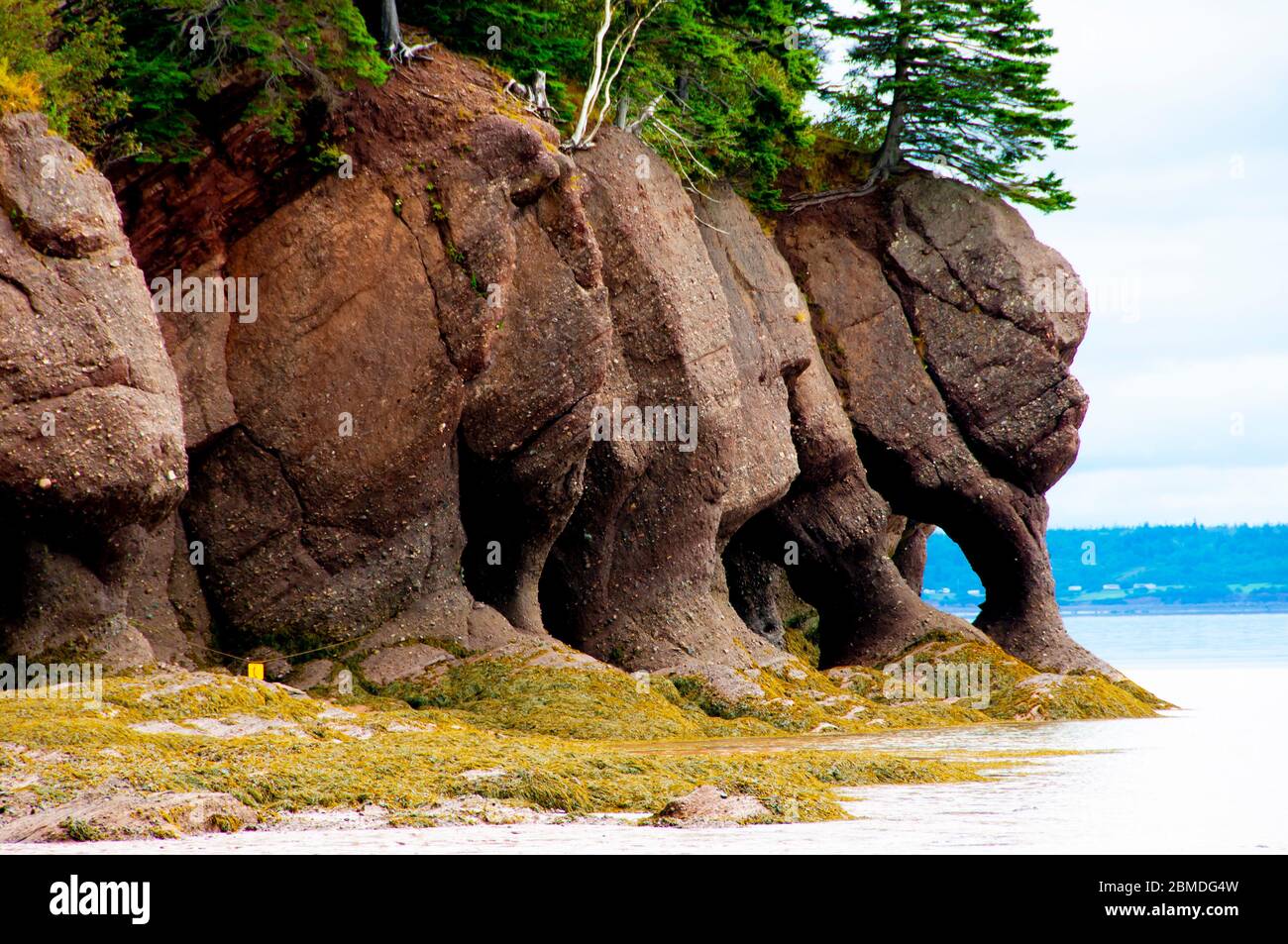 Hopewell Rocks - New Brunswick - Canada Stock Photo - Alamy