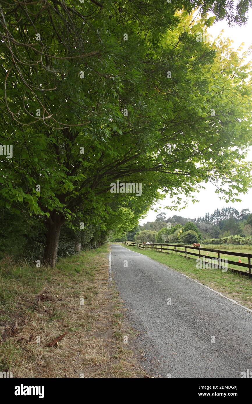 Lane with long wooden fence hi-res stock photography and images - Alamy