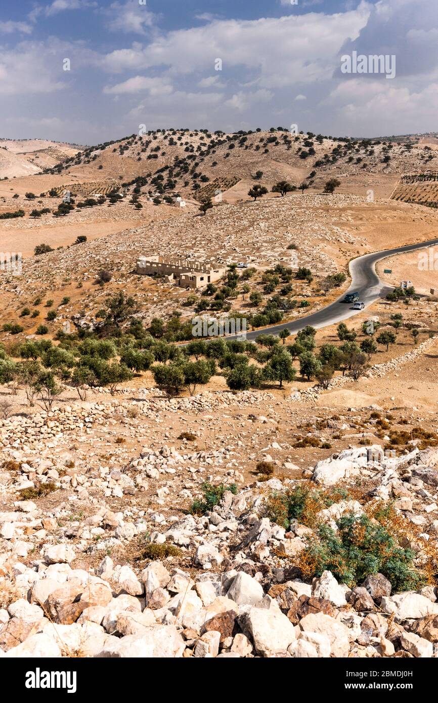 Olive tree farm hi-res stock photography and images - Alamy
