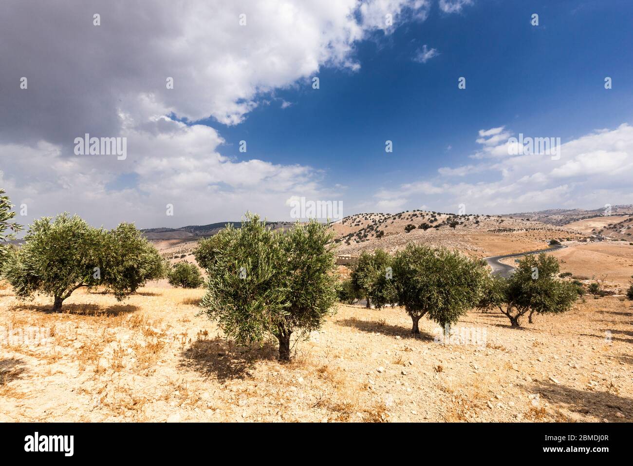 Jordan fields hi-res stock photography and images - Alamy