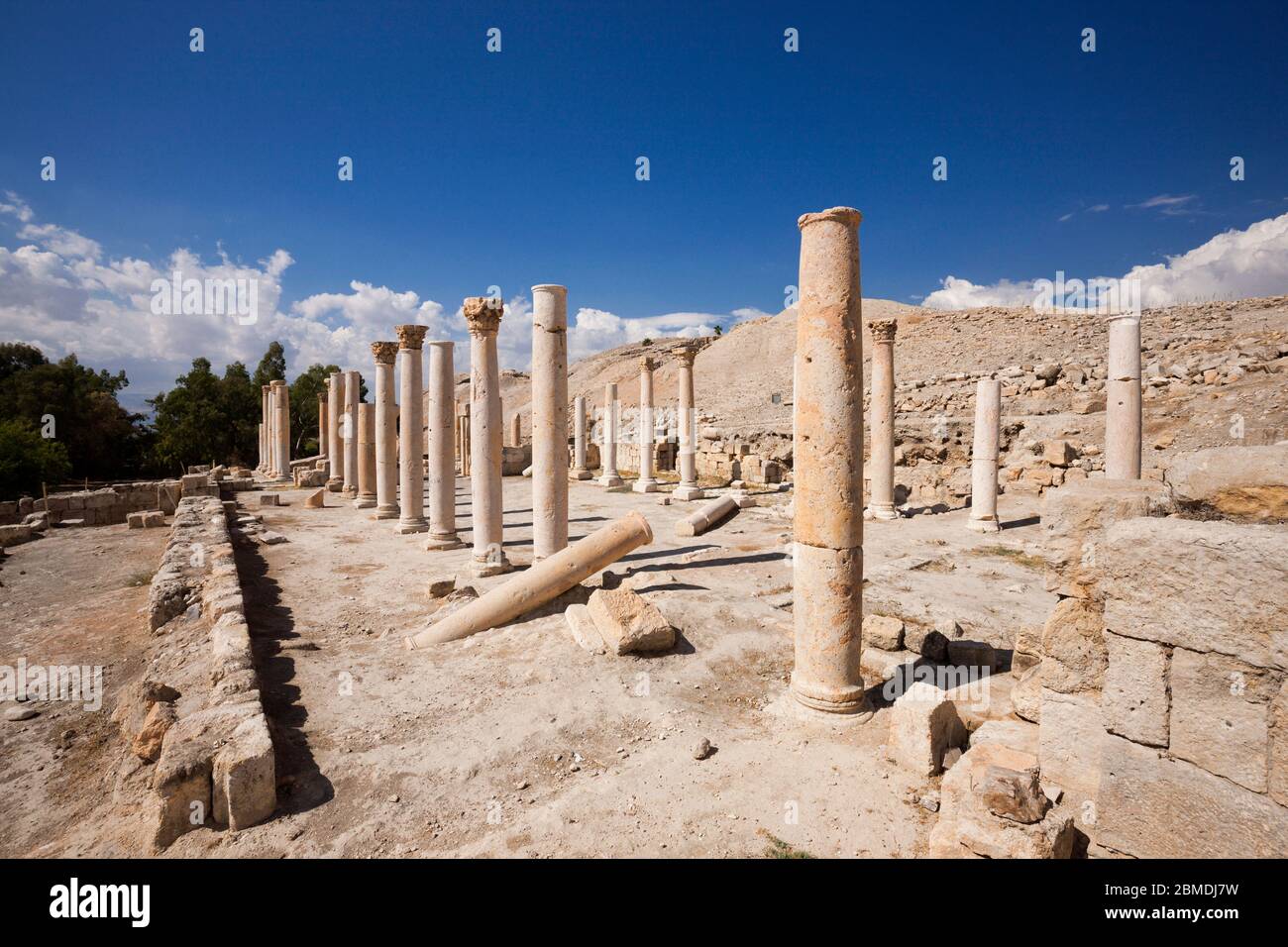 Tabqet fahel hi-res stock photography and images - Alamy