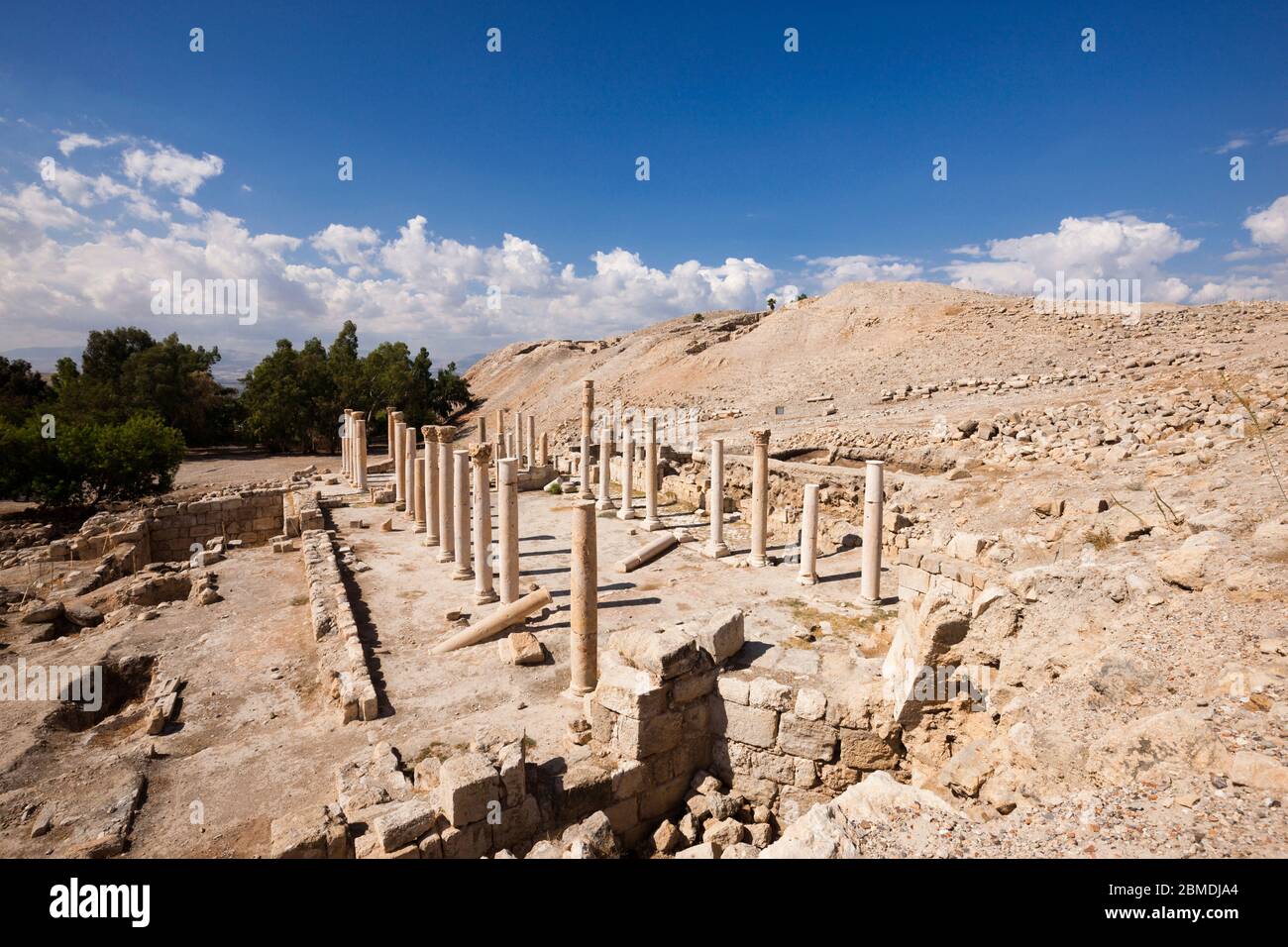 Tabqet fahel hi-res stock photography and images - Alamy