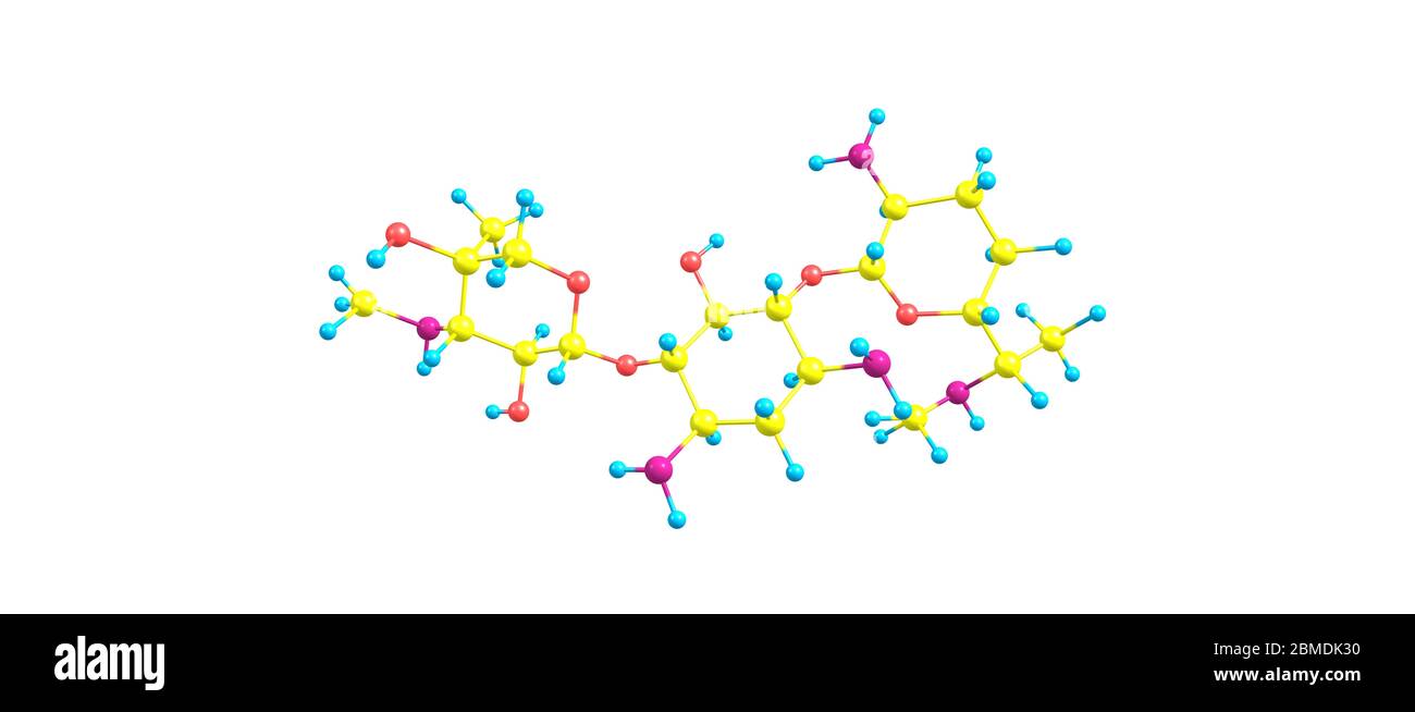 Gentamicin is an antibiotic used to treat several types of bacterial ...