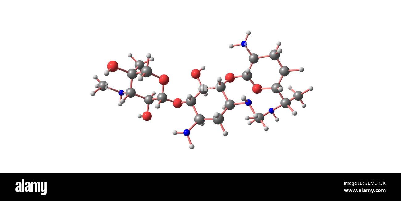 Gentamicin is an antibiotic used to treat several types of bacterial ...