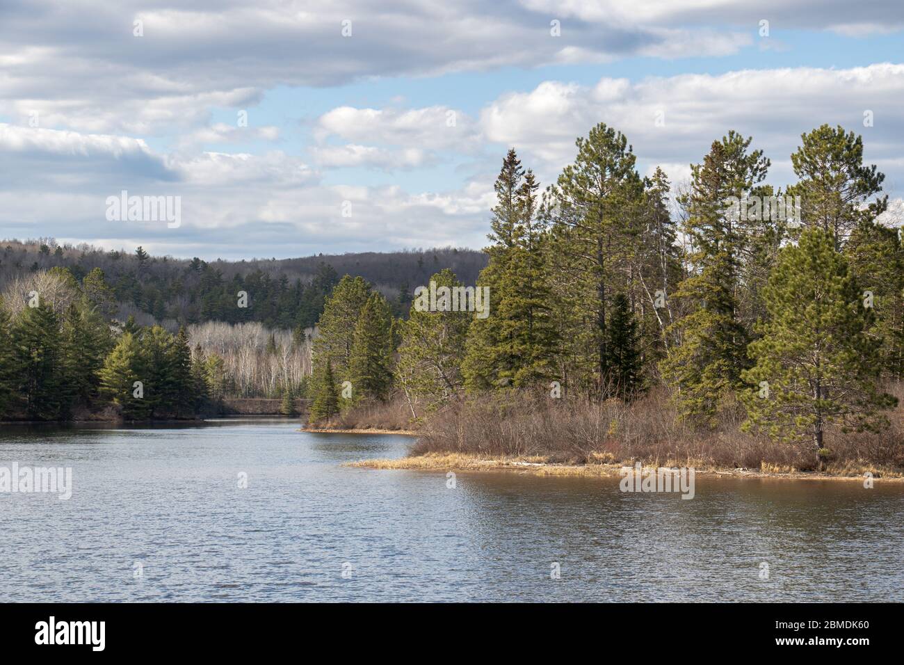 Mixed forest by the lake hi-res stock photography and images - Alamy