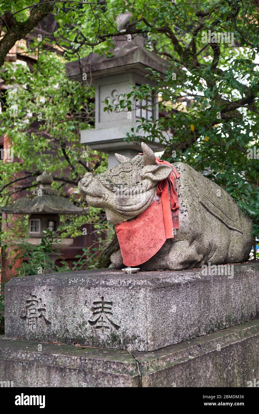 The statue of ox, the animal messenger (otsukai) of God Tenjin ...