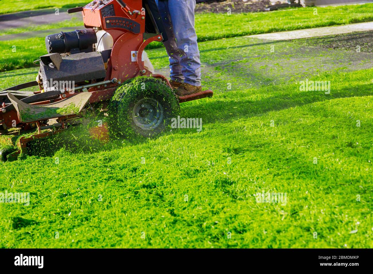 Man cutting grass in his yard cut spring grass with lawn mower Stock ...
