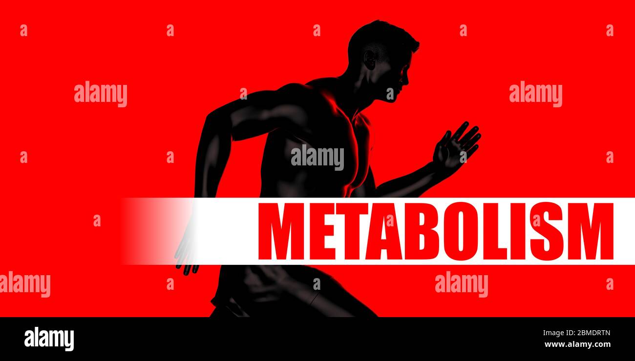 Metabolism concept hi-res stock photography and images - Alamy