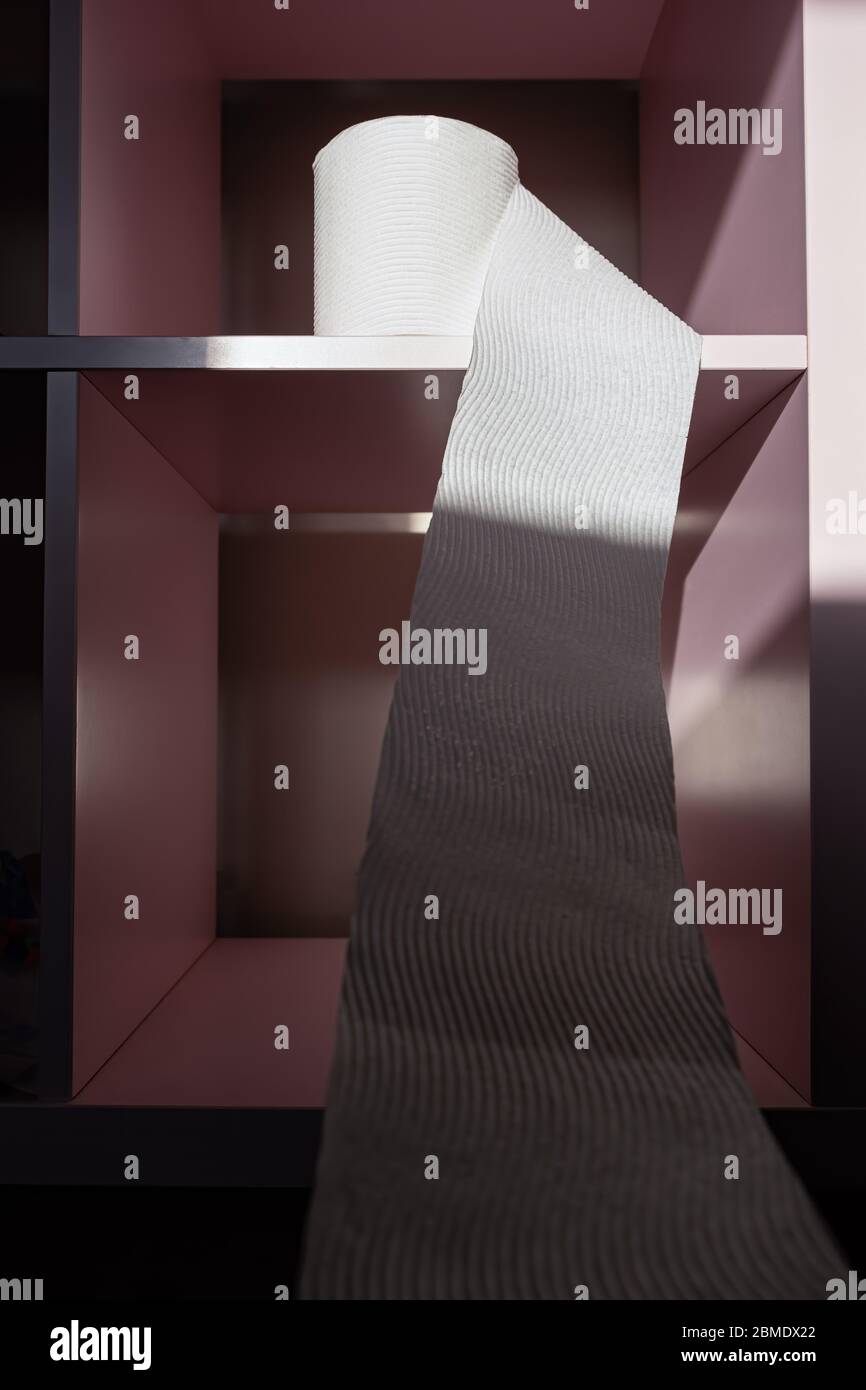 White textured toilet paper flowing from the roll placed on empty shelf ...