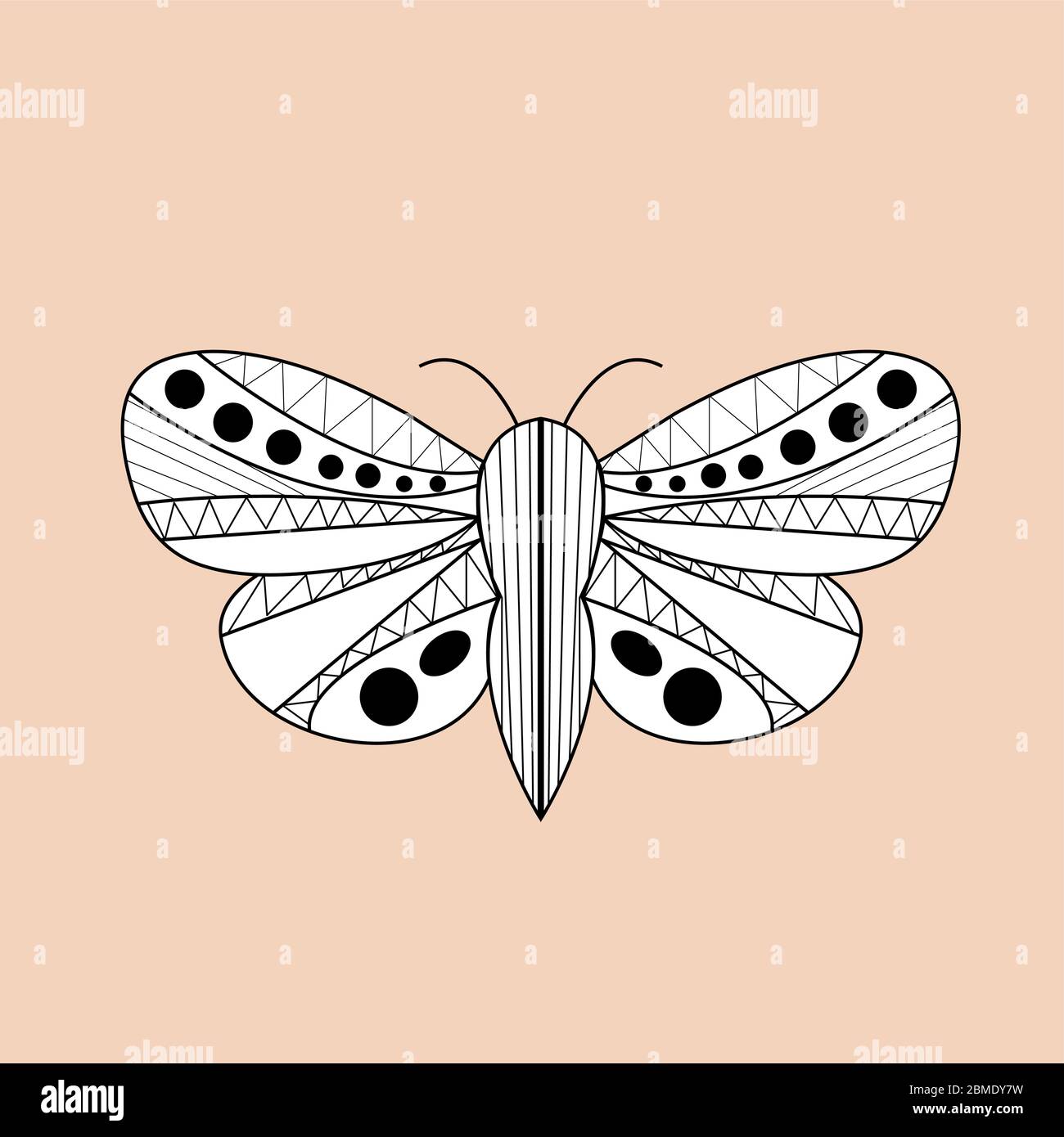 Night moth Stock Vector Images - Alamy