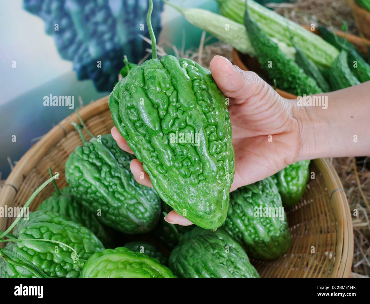 Closeup view bitter gourd hi-res stock photography and images - Alamy