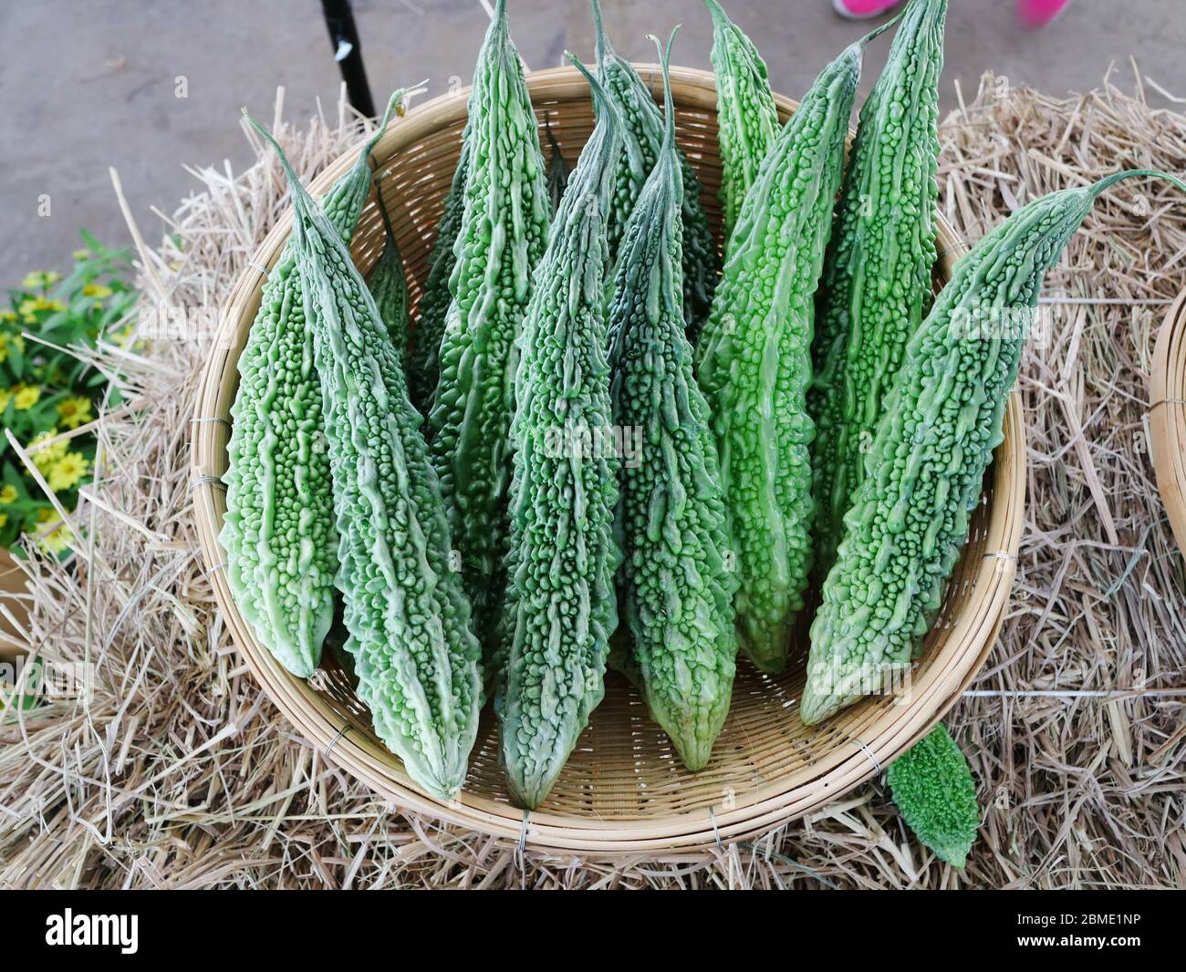 Bittergourd in basket hi-res stock photography and images - Alamy