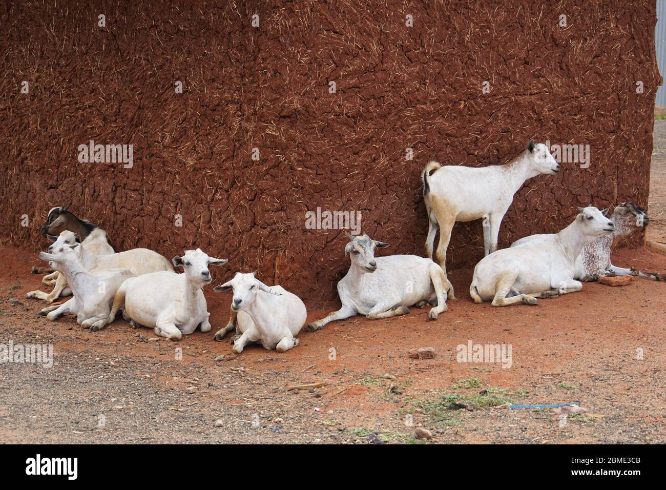 Mud lined hi-res stock photography and images - Alamy