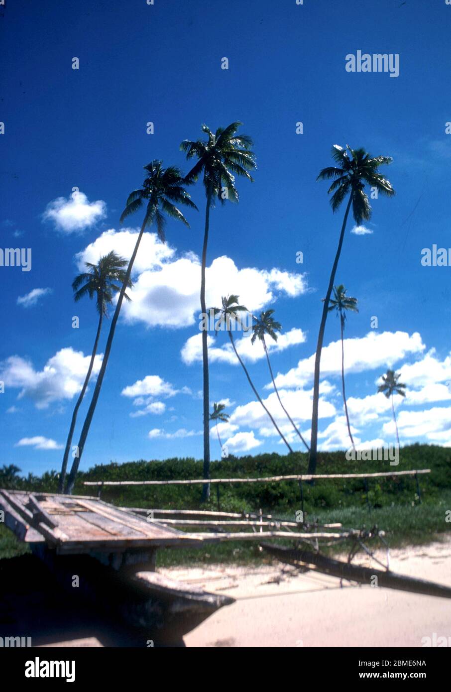 Traditional wooden fishing boat, Tonga, 1969 Stock Photo - Alamy