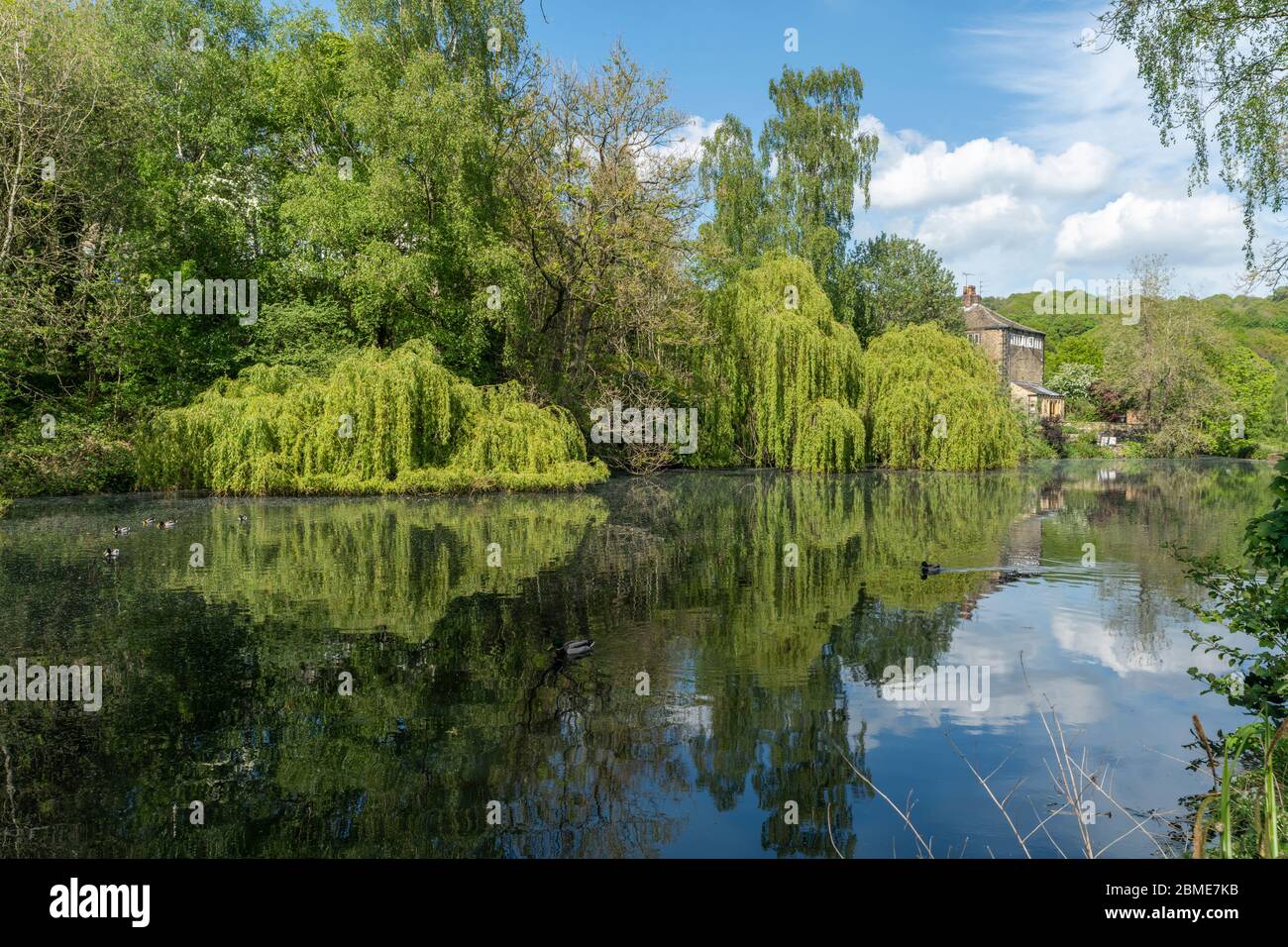 Magdale Dam in Honley, West Yorkshire, England Stock Photo - Alamy