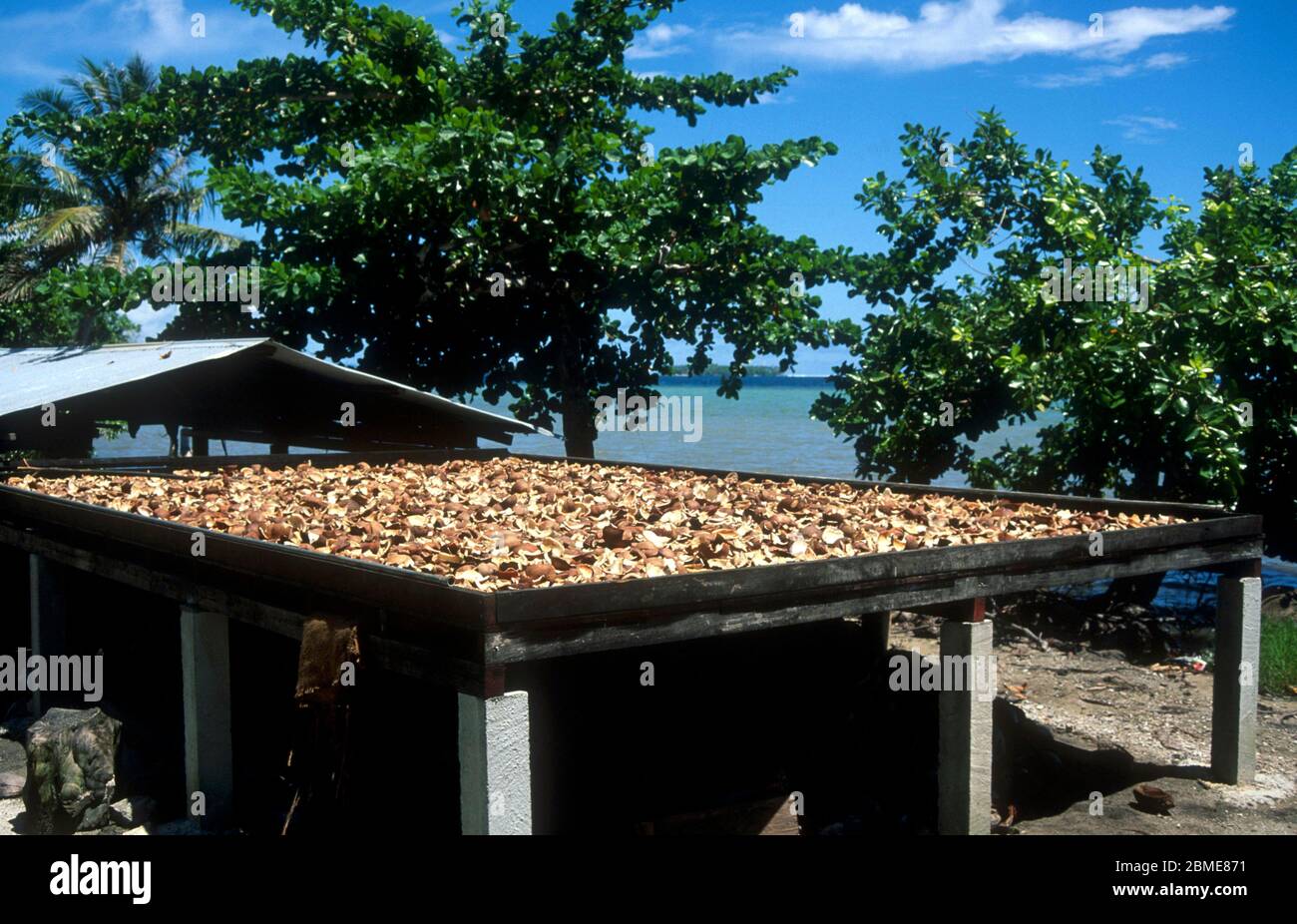 Drying copra hi-res stock photography and images - Alamy
