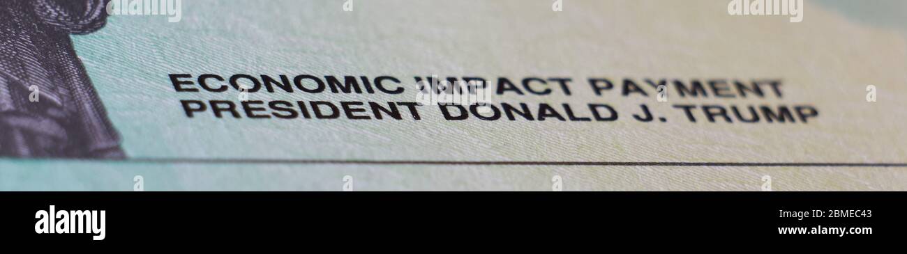 Text on the Economic Impact Payment (relief from COVID-19 pandemic ...