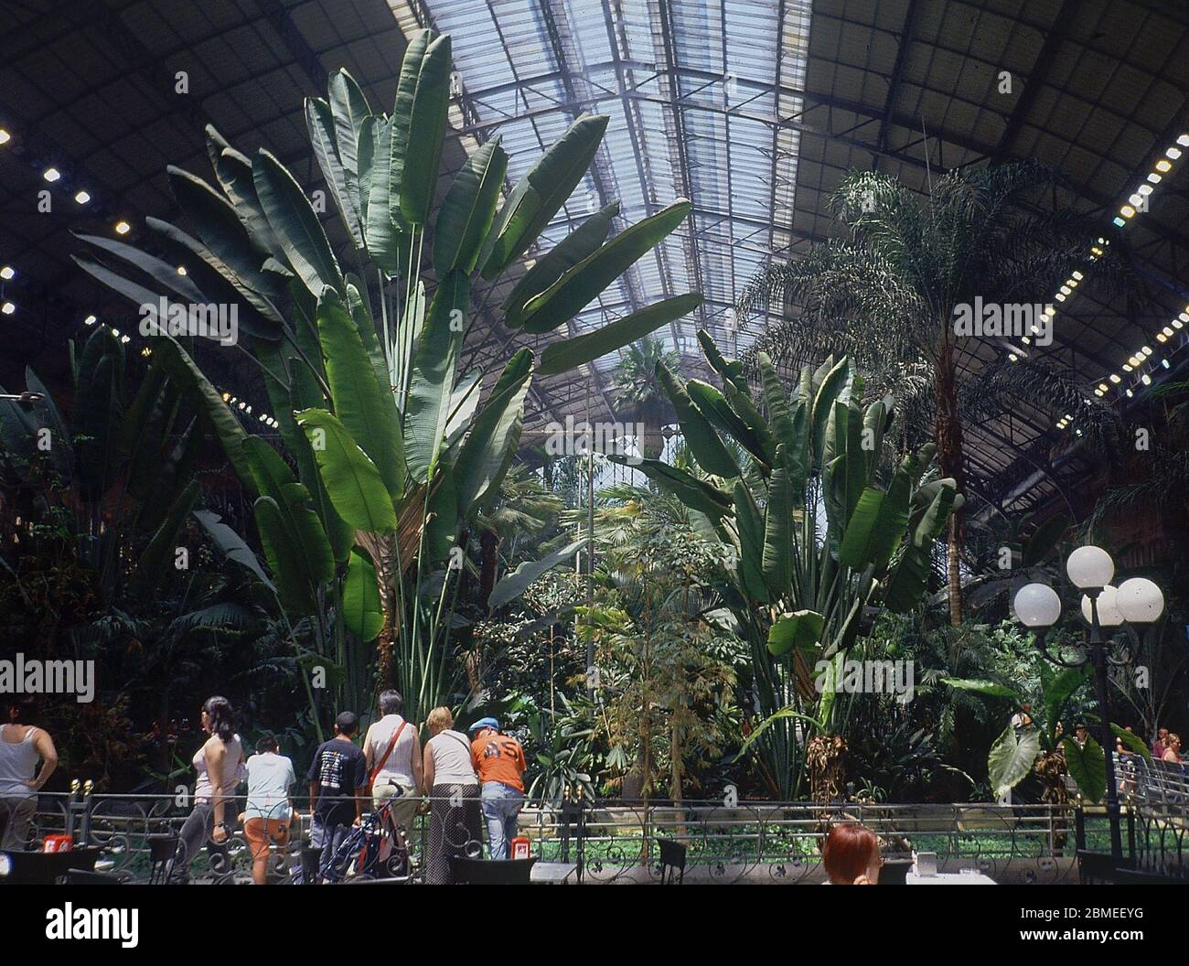 VESTIBULO CENTRAL CON PLANTAS DE LA ESTACION DE ATOCHA - JARDIN ...