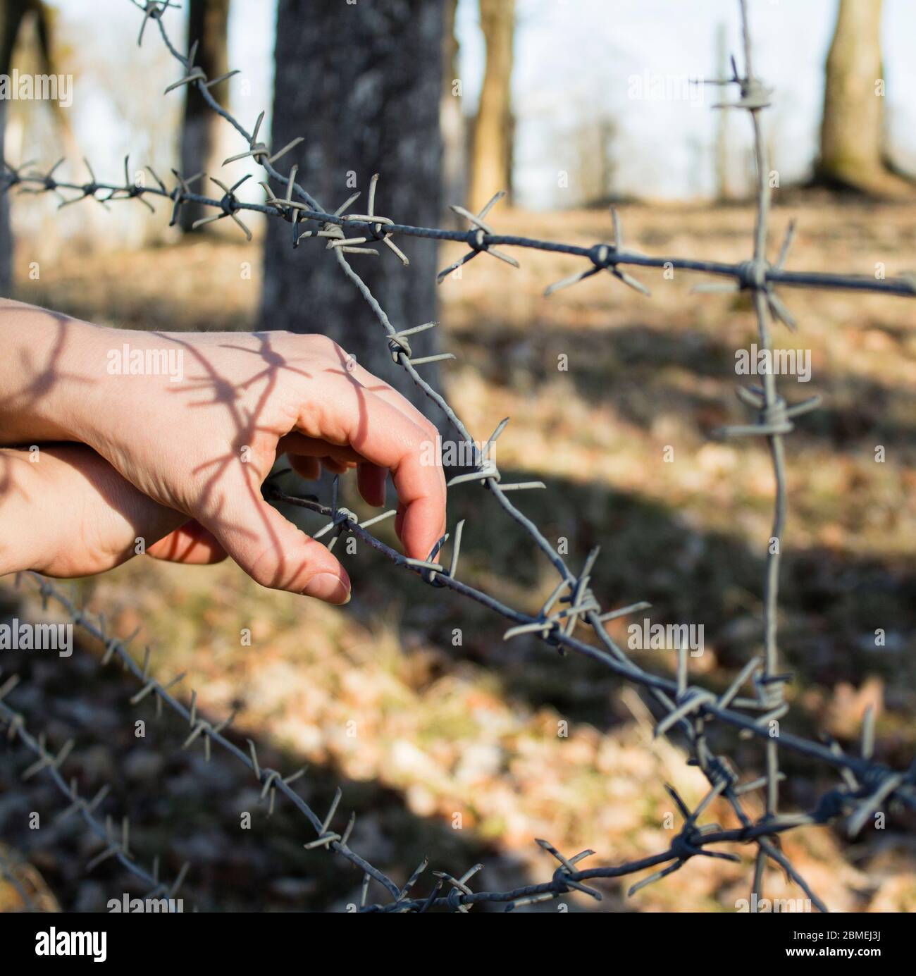 Hand with barbed wire hi-res stock photography and images - Alamy